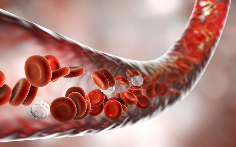 No Blood In The Body For 44 Minutes | General